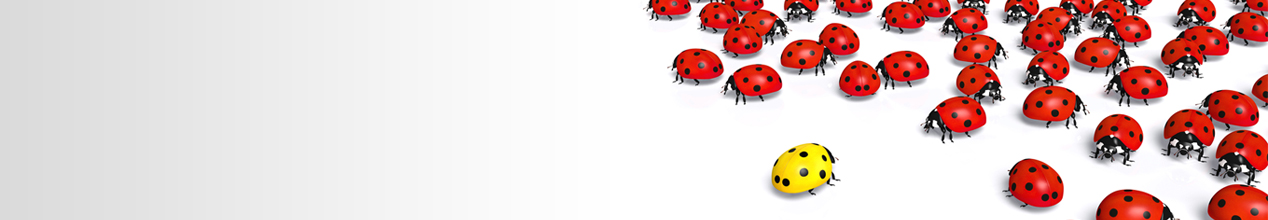 Unterschied machen | BusinessBewusst